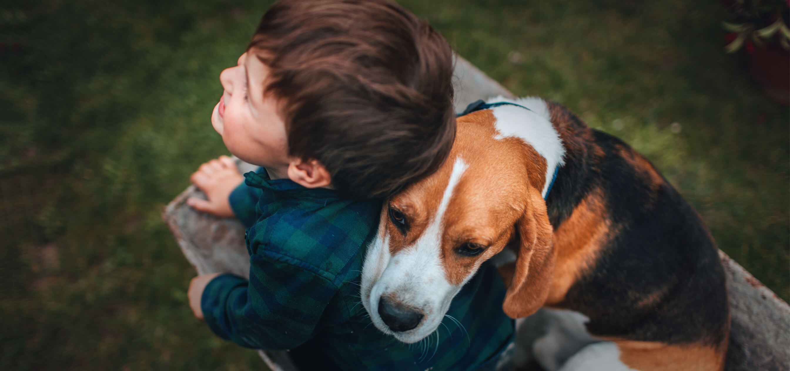 Submit a request | raisin